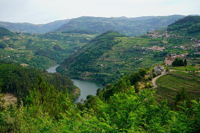 Douro Valley private tour from Lisbon - First Stop: The Douro River and the Vineyards
