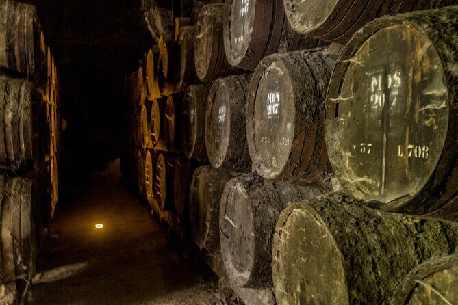 Douro Valley private tour from Lisbon - Pinhao: The Heart of Douro Winemaking