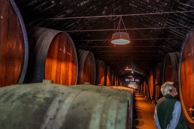 Douro Valley private tour from Lisbon - The Value of This Tour