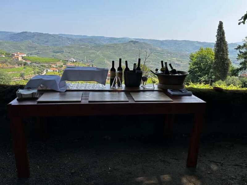 Douro Valley: Private Tour & Guided Wine & Olive Oil Tasting - Value and Practical Considerations
