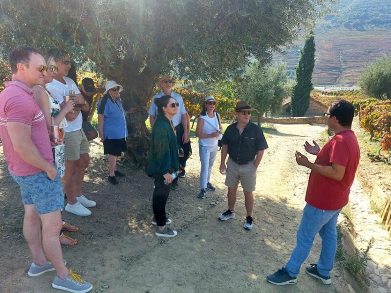 Douro Valley private tour & wine experience including lunch - Who Should Consider This Tour?