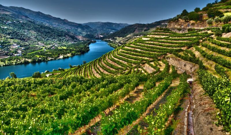Douro Valley Private Tour with 2 wine tastings - Practical Details and Tips
