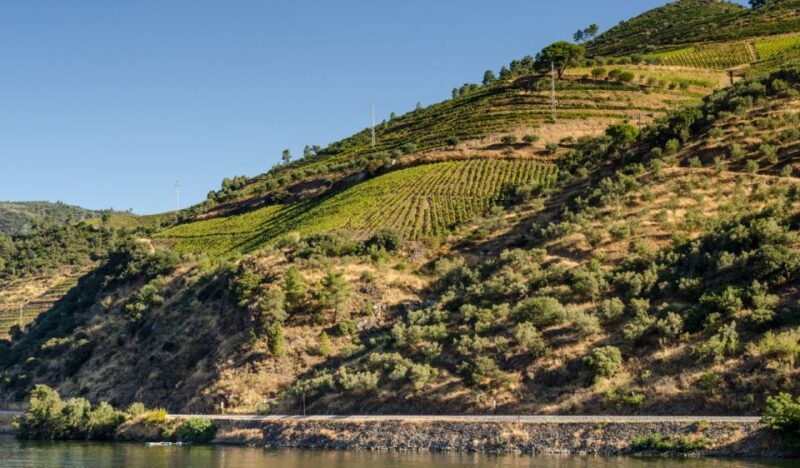 Douro Valley Private Tour with 2 wine tastings - FAQ