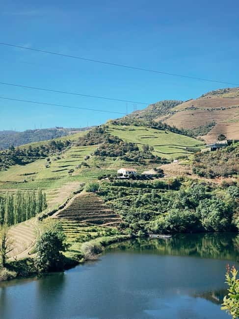 Douro Valley: PRIVATE TOURS with 1 Wine Tasting - Whats Included and Whats Not