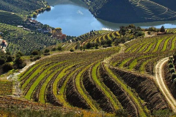 Douro Valley Private Wine Tour from Lisbon - The Journey from Lisbon to Douro: Comfort and Convenience