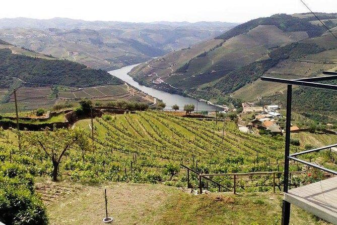 Douro Valley Private Wine Tour from Lisbon - The Return Journey: From Pinhao to Lisbon