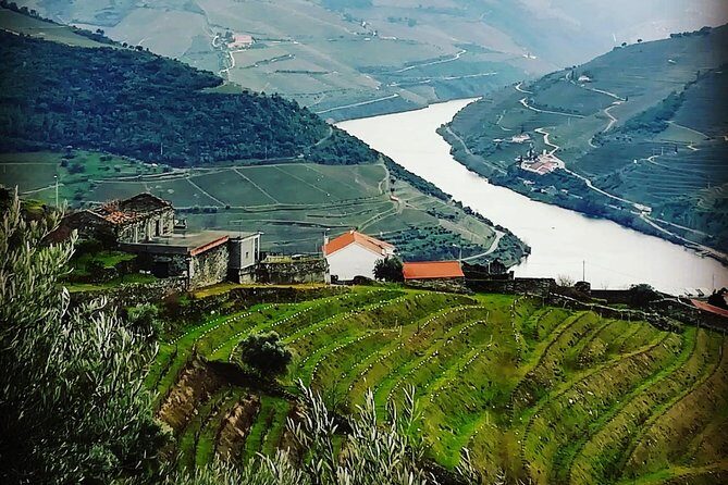 Douro Valley Private Wine Tour from Lisbon - Whats Included and Whats Not