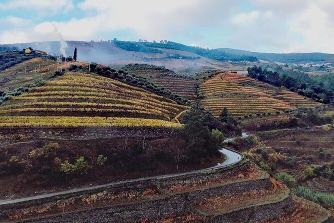 Douro Valley Private Wine Tour from Lisbon - What Do Travelers Say?
