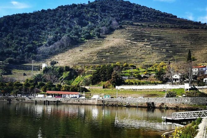 Douro Valley Private Wine Tour from Lisbon - FAQs