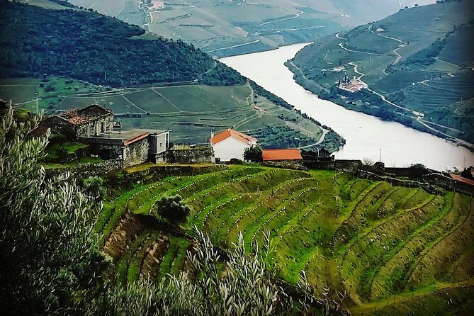 Douro Valley Private Wine Tour From Porto - Why the Price Reflects Its Value