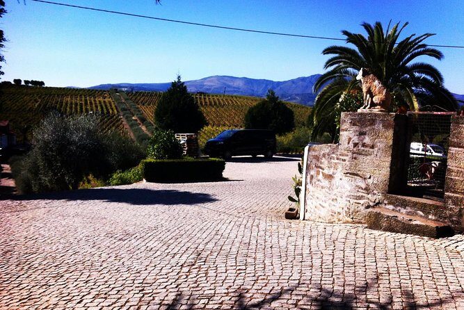 Douro Valley Private Wine Tour From Porto - Who Should Book This Tour?