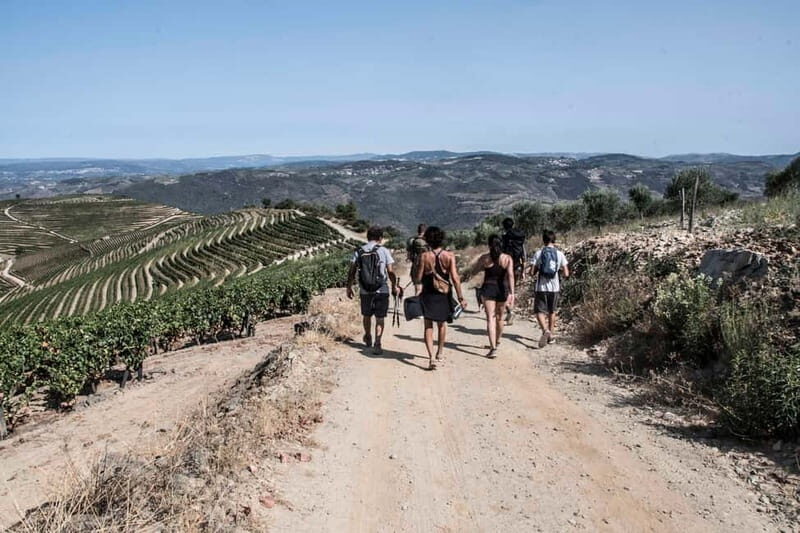 Douro Valley: Provesende and São Cristóvão Guided Hike - An Authentic Way to Experience the Douro Valley