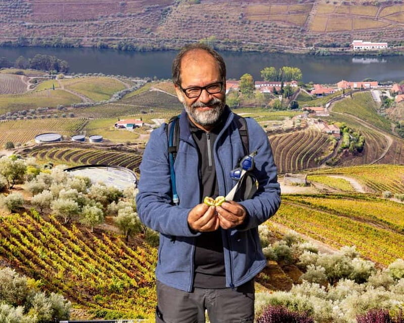Douro Valley: Provesende and São Cristóvão Guided Hike - Practical Details & Tips