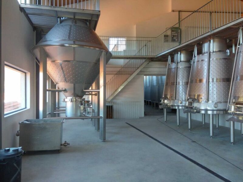 Douro Valley: Quinta de S. Luiz Winery Tour and Tasting - The Realities: Strengths and Weaknesses