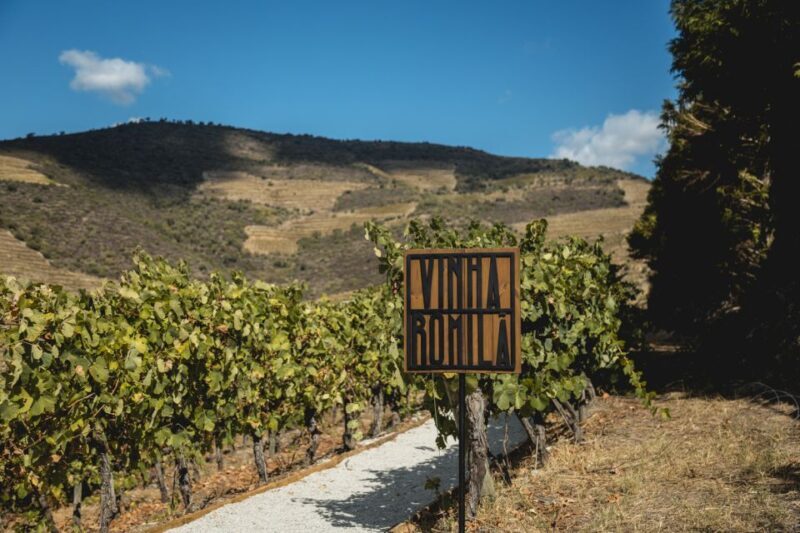 Douro Valley: Quinta de S. Luiz Winery Tour and Tasting - The Sum Up