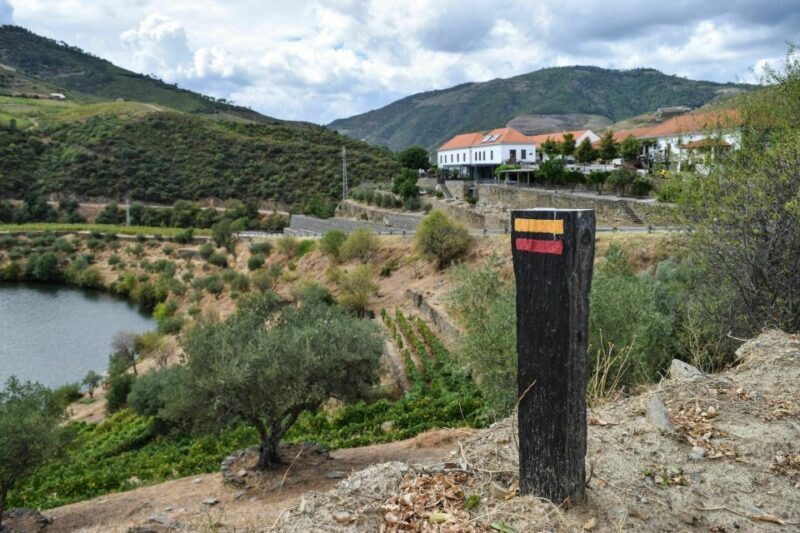 Douro Valley: Quinta do Tedo Wine Experience with Picnic - Why Choose This Tour?
