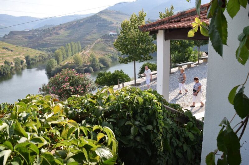 Douro Valley: Quinta do Tedo Winery Tour and Tasting - Discover the Beauty of the Douro Valley with a Quinta do Tedo Winery Tour and Tasting