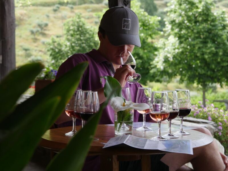 Douro Valley: Quinta do Tedo Winery Tour and Tasting - Key Points