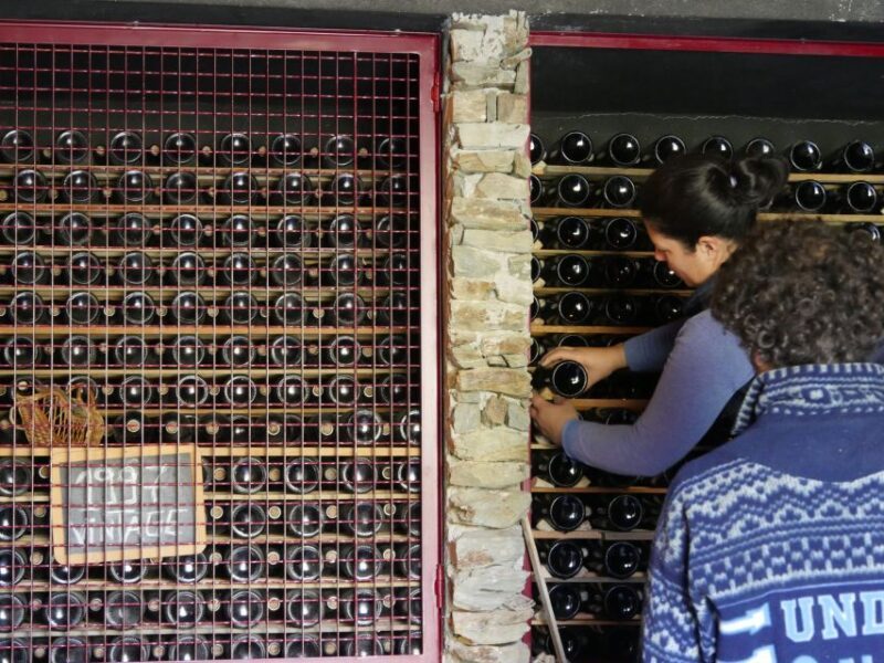 Douro Valley: Quinta do Tedo Winery Tour and Tasting - What Makes This Tour Special?