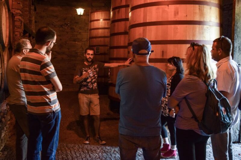 Douro Valley: Quinta do Tedo Winery Tour and Tasting - Who Should Consider This Tour?