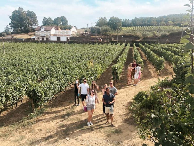 Douro Valley: Real Small-Group, Wine Tasting, Lunch & Boat - An In-Depth Look at the Douro Valley Tour