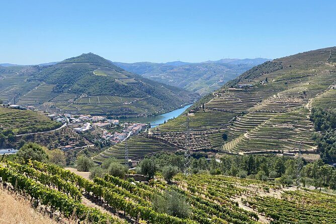Douro Valley Tour - 3 Wine tastings, Lunch & river Cruise - Final Thoughts