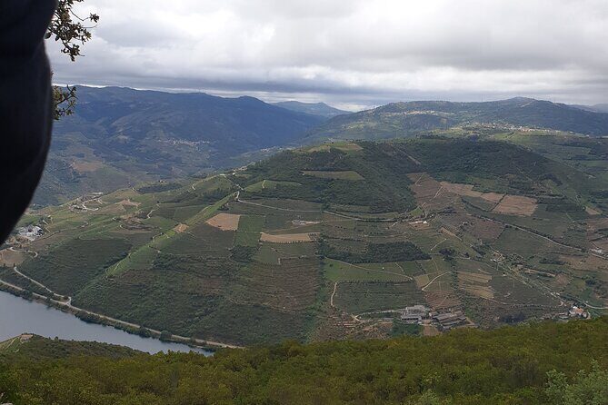 Douro Valley Tour Wine and breathtaking views - Final Thoughts