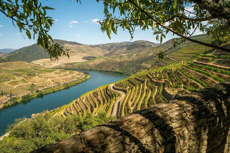 Douro Valley Tour with Lunch, Visit to a Vineyard, Boat Trip - Key Points