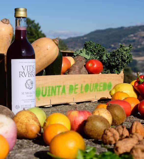 Douro Valley: Traditional Cooking Class, Farm Tour & Lunch - What Is This Tour Really About?