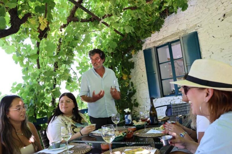 Douro Valley: Visit 2 Wineries with lunch, and 1-Hour Cruise - Pricing & Value for Money