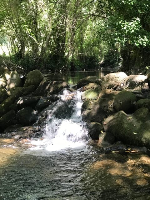 Douro Valley: water walking adventure with local lunch - How This Tour Compares in Terms of Value