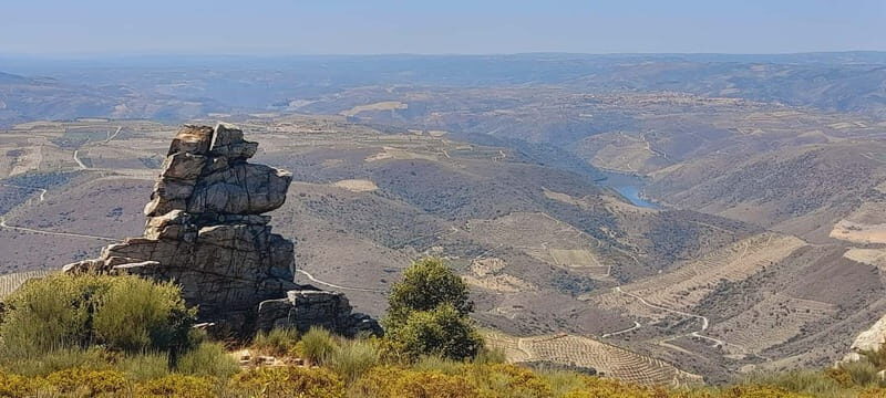 Douro Valley: Wine & Chocolate Tour in the Wine Region - Key Points