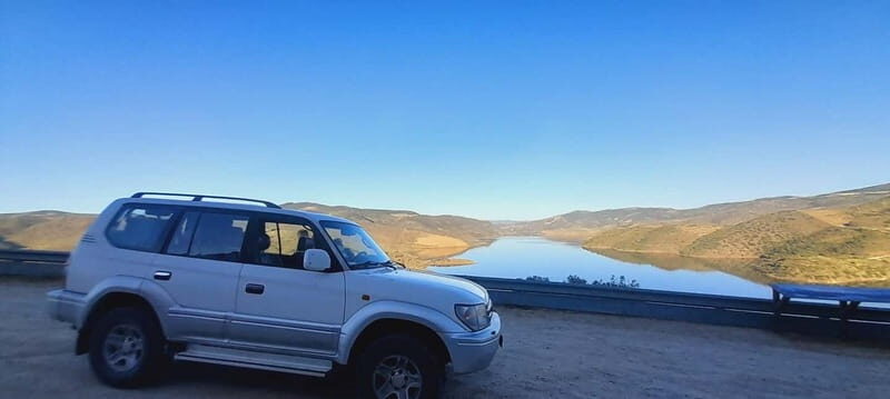 Douro Valley: Wine & Chocolate Tour in the Wine Region - Who Is This Tour Best For?