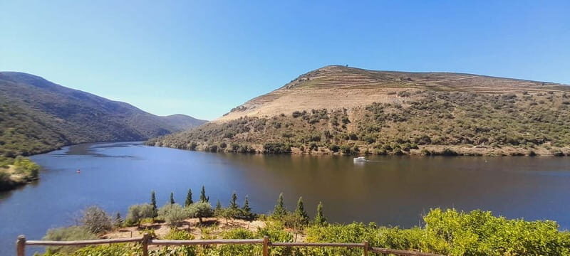 Douro Valley: Wine & Chocolate Tour in the Wine Region - FAQ