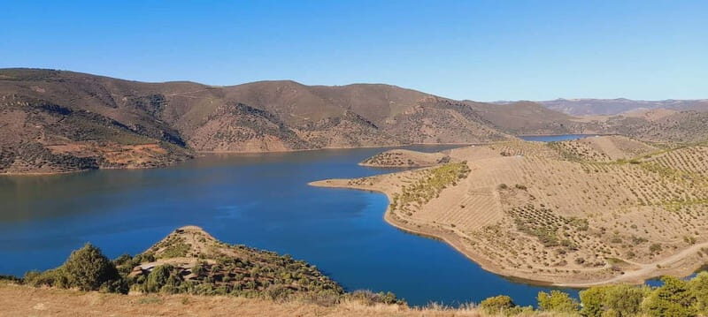 Douro Valley: Wine & Chocolate Tour in the Wine Region - Final Thoughts