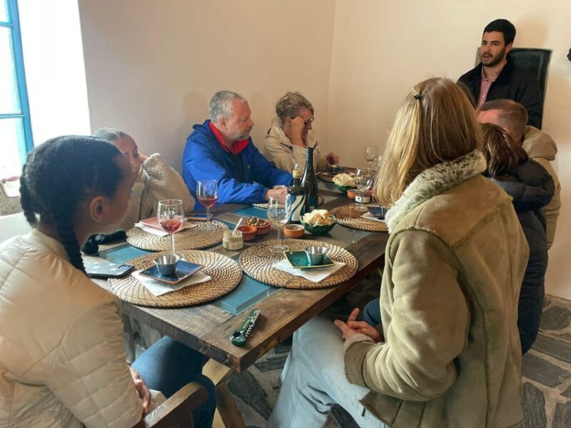 Douro Valley wine safari with wine tastings and lunch - Visiting the Vineyards and Tasting Experiences