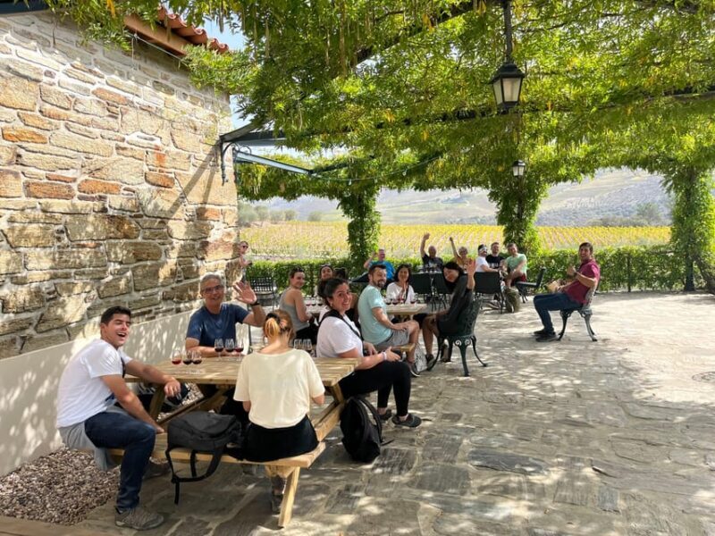 Douro Valley wine safari with wine tastings and lunch - The Scenic Drive on N222 and Hidden Viewpoints
