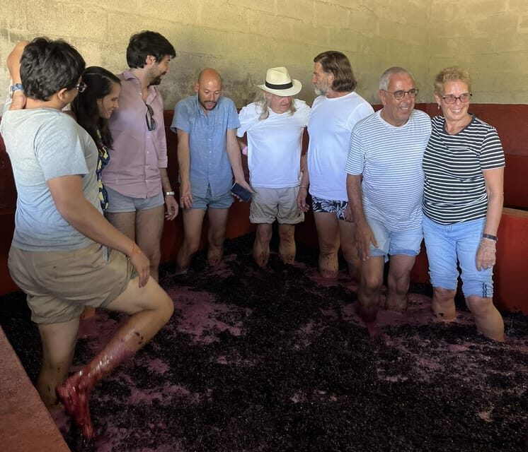 Douro Valley wine safari with wine tastings and lunch - Lunch in a Vineyard: Authentic Portuguese Fare