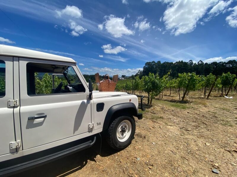Douro Valley wine safari with wine tastings and lunch - Additional Stops and Return to Porto