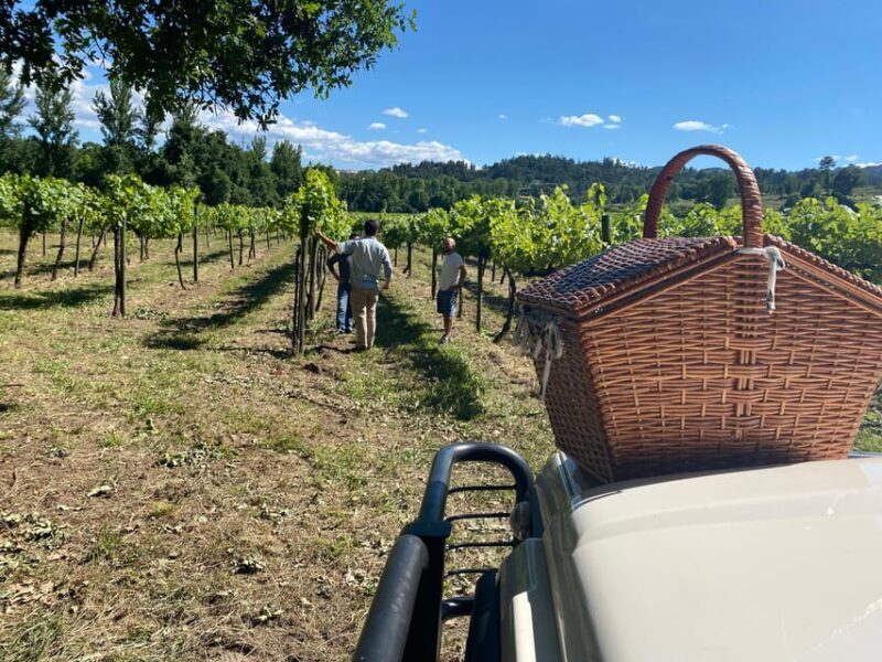 Douro Valley wine safari with wine tastings and lunch - Practicalities and What’s Included