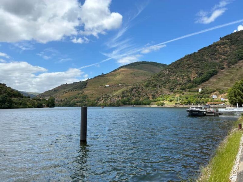 Douro Valley Wine Tour: Boat Ride, 3 Tastings & Delicious Food - Small Group - An In-Depth Look at the Douro Valley Tour