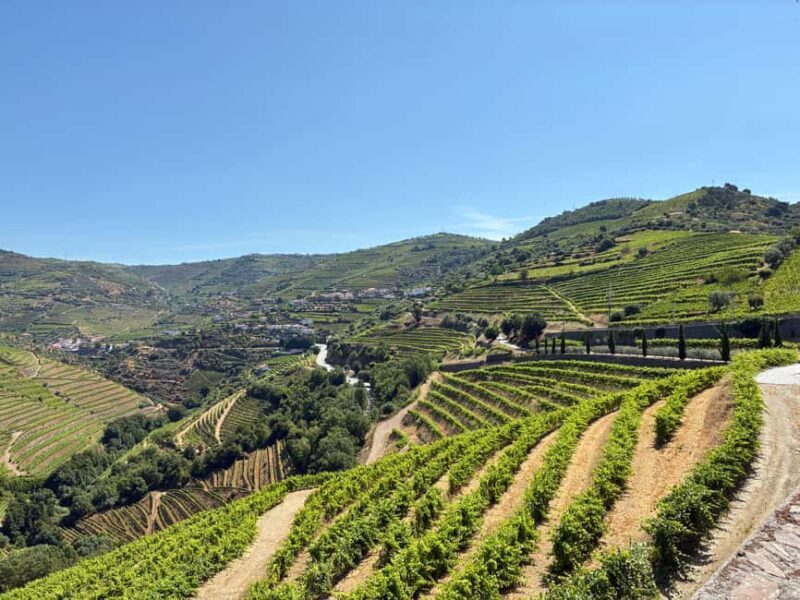 Douro Valley Wine Tour: Boat Ride, 3 Tastings & Delicious Food - Small Group - Frequently Asked Questions