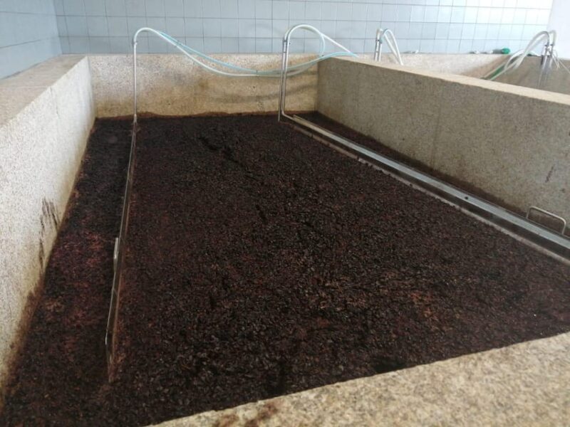 Douro Valley Wine Tour With Traditional Lunch - Introduction