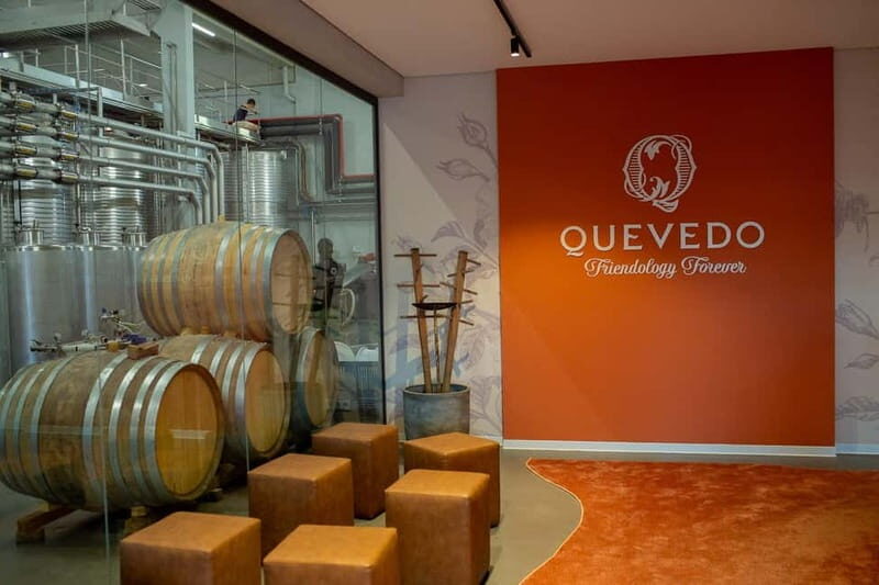 Douro Valley: Winery Visit & Legacy Port Wine Tasting - A Deep Dive into the Douro Valley Tour Experience
