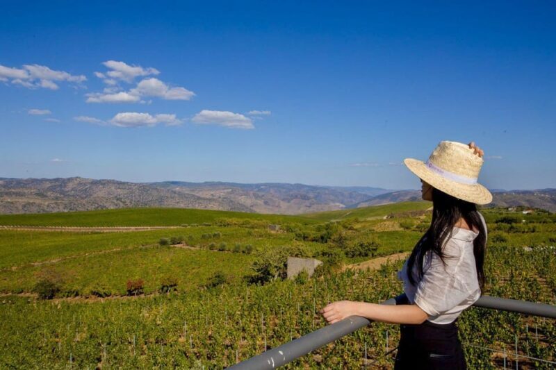 Douro Valley: Winery Visit & Premium Aged Port Wine Tasting - Authentic Port Tasting in the Douro: What to Expect