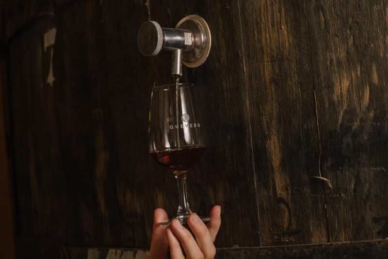 Douro Valley: Winery Visit & Premium Aged Port Wine Tasting - Who Should Consider This Tour