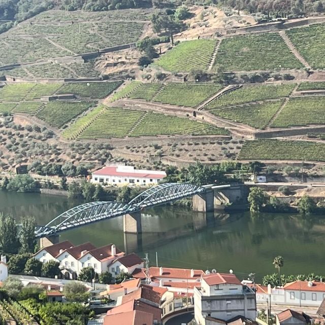 Douro Valley with a local - tasting day, all included - The Value in the Details