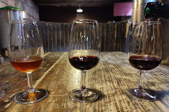 Douro & Vinho Verde: Family Wineries Private Tour in Portugal - Authentic Experiences and Genuine Praise