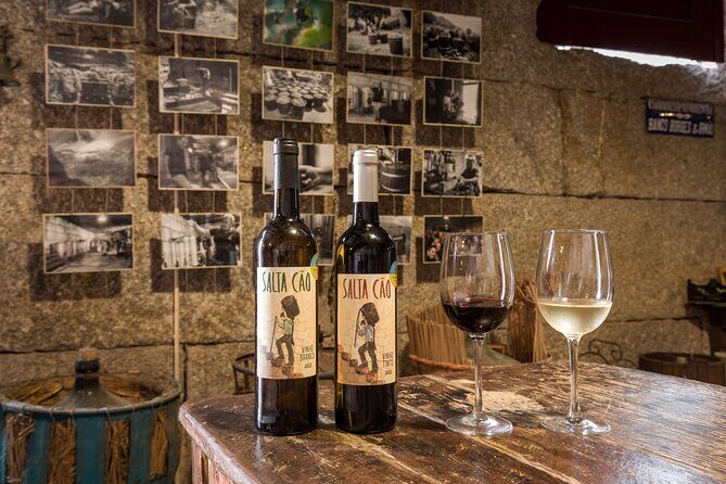 Douro & Vinho Verde: Family Wineries Private Tour in Portugal - The Sum Up