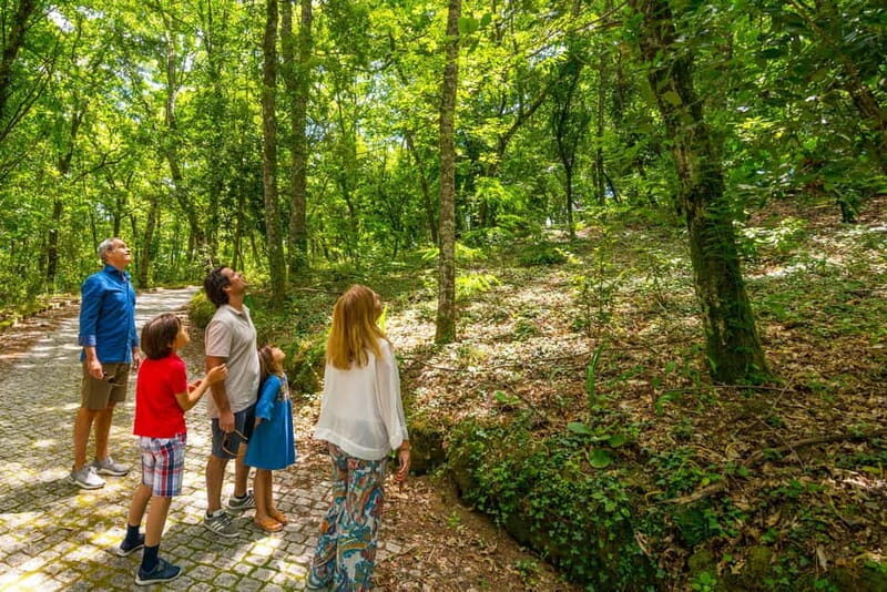Douro: Visit And Walk Through The Vineyards And Woods - FAQ